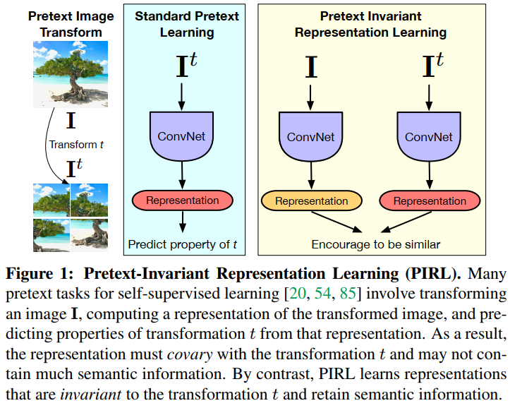 Self-Supervised Learning of Pretext-Invariant Representations | EMIL Self-Supervised Learning of Pretext-Invariant Representations | EMIL
